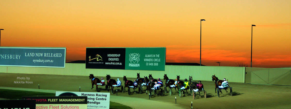 Home - Australian Harness Racing