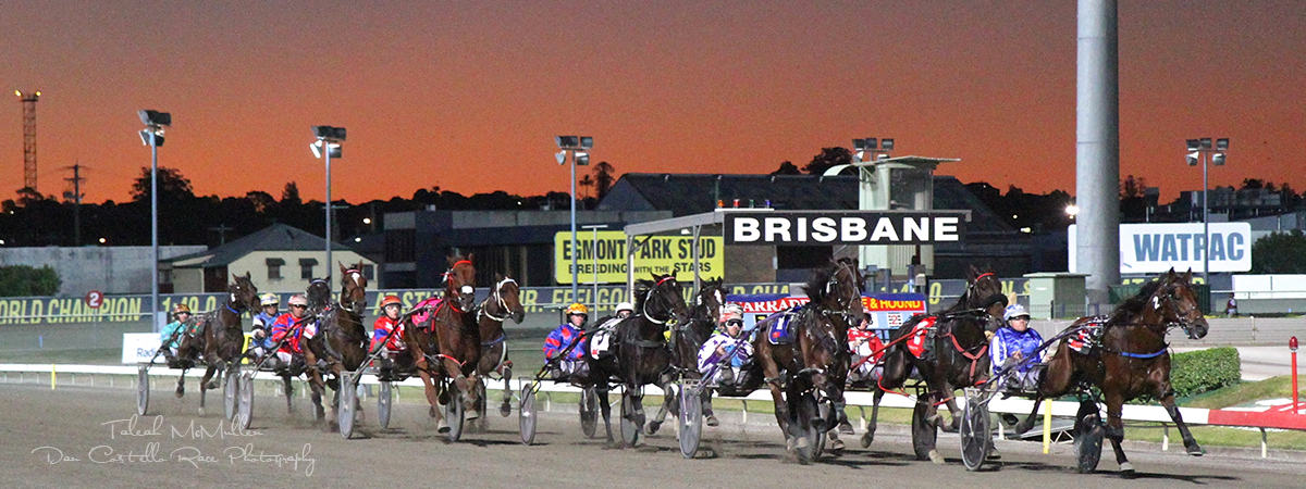 Home - Australian Harness Racing